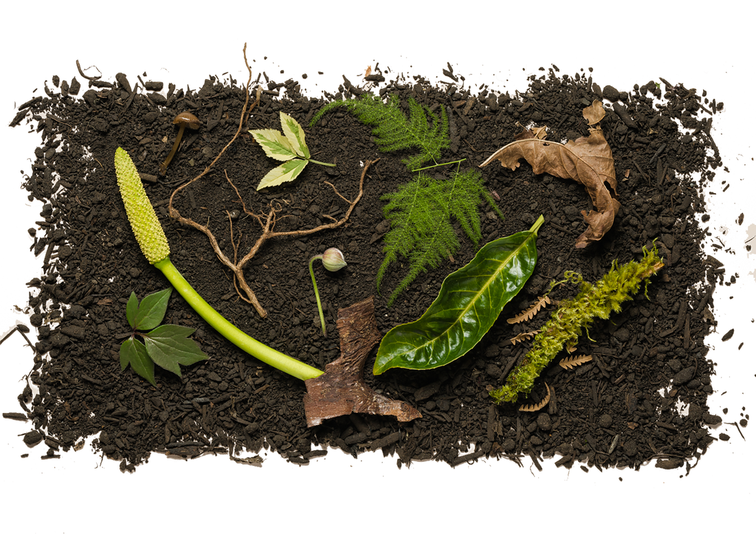 Recompose Store for Human Composting Enthusiasts – ShopRecompose